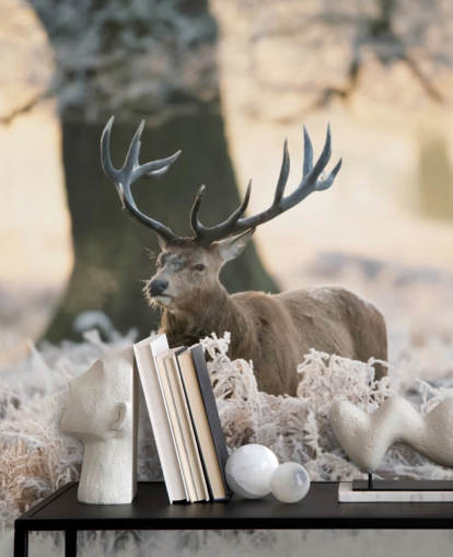 Stag Wallpaper & Deer Wallpaper | Wallsauce US