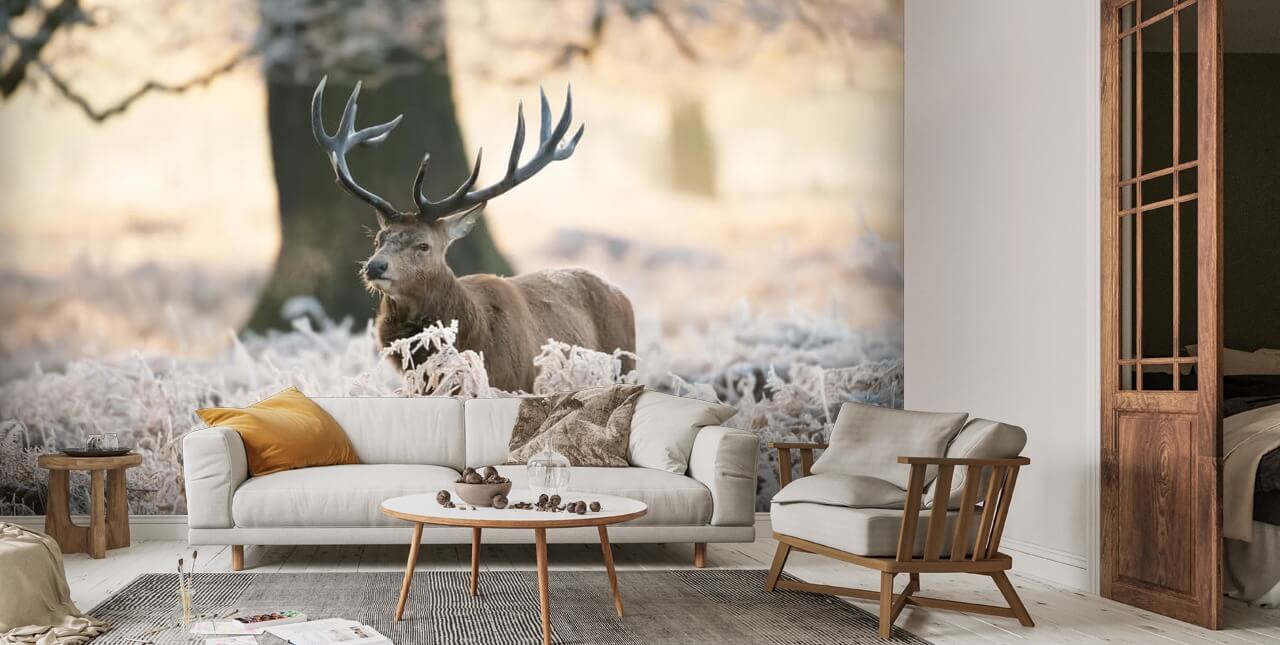 Frosty Stag Wallpaper | Wallsauce UK