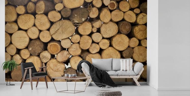 Wood Effect Wallpaper & Wall Murals | Wallsauce CA