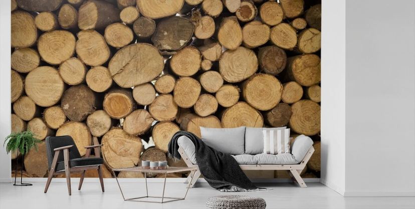 Wood Effect Wallpaper & Wall Murals | Wallsauce US