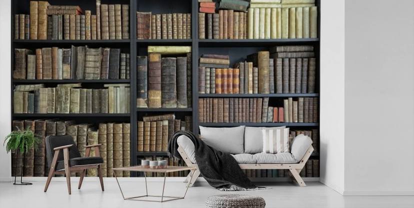 Bookcase Wallpaper & Bookshelf Wall Murals | Wallsauce US