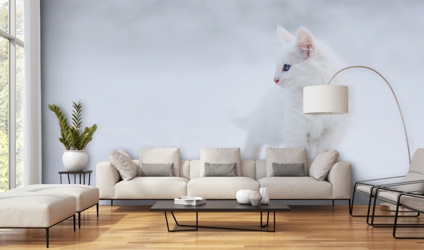 Cat Wallpaper & Wall Murals | Wallsauce US