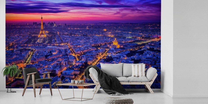 Paris Wallpaper & Wall Murals | Wallsauce US