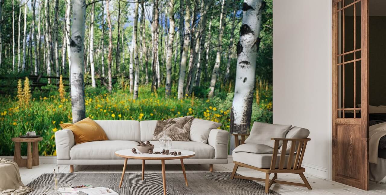 Rocky Mountain Aspens Wall Mural | Wallsauce UK