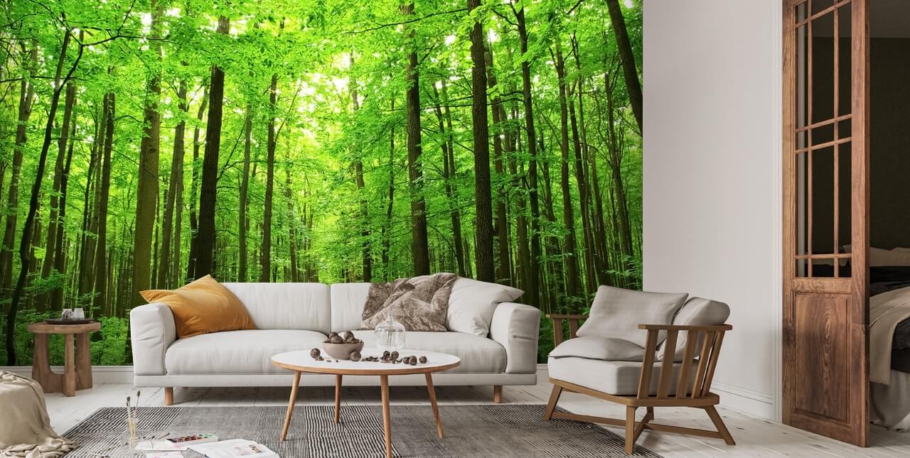 Mural de pared Bosque verde | Wallsauce ES