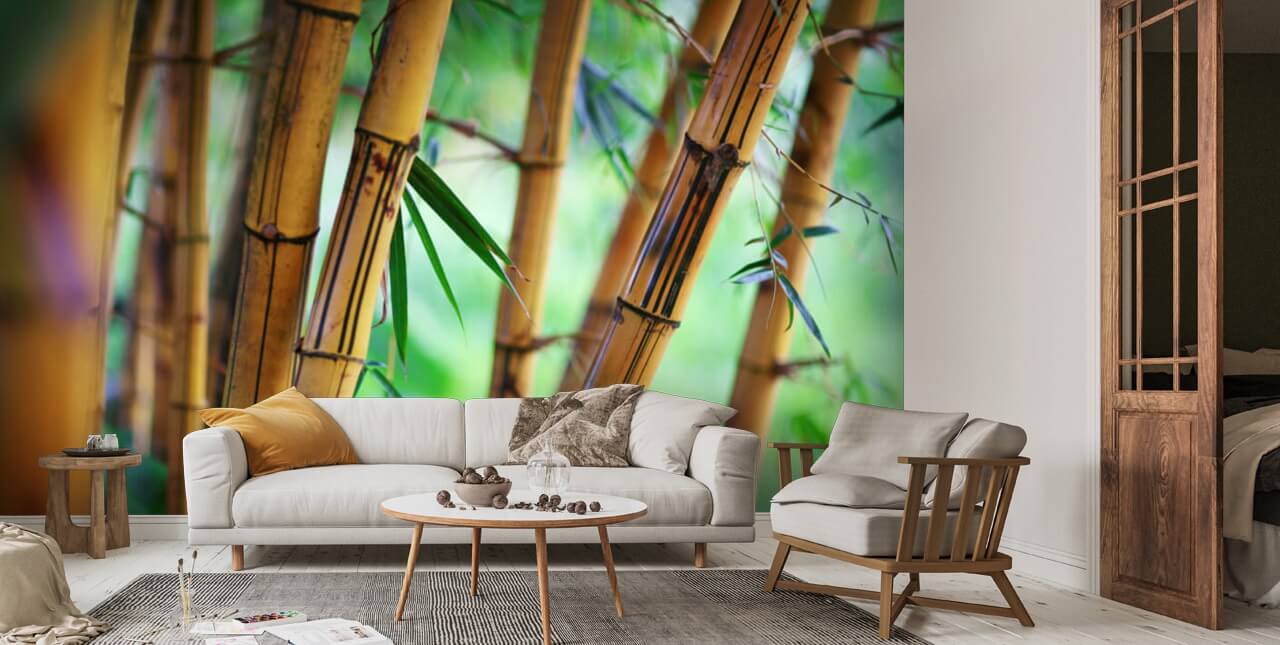 Bamboo Forest Wallpaper Murals