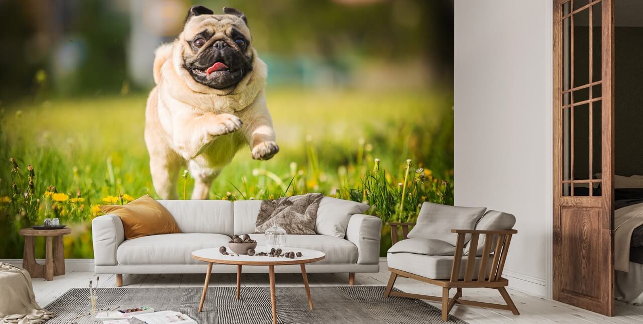 Pug Patrol Wallpaper | Wallsauce UK