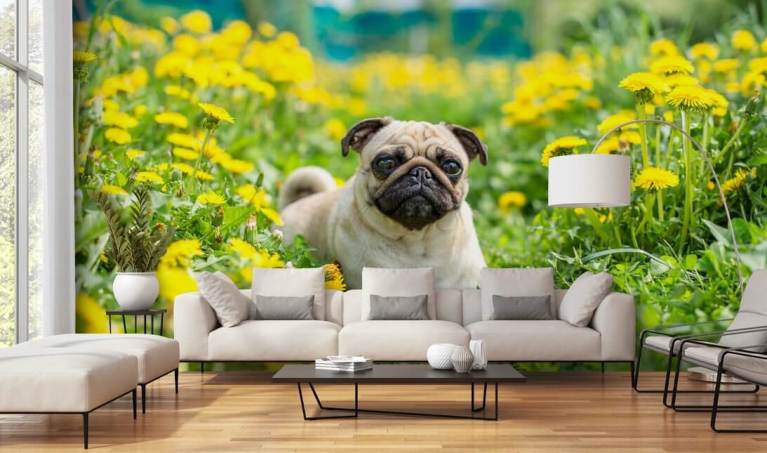 Dog Wallpaper & Wall Murals | Wallsauce UK