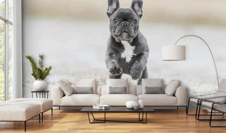 Dog Wallpaper & Wall Murals | Wallsauce UK