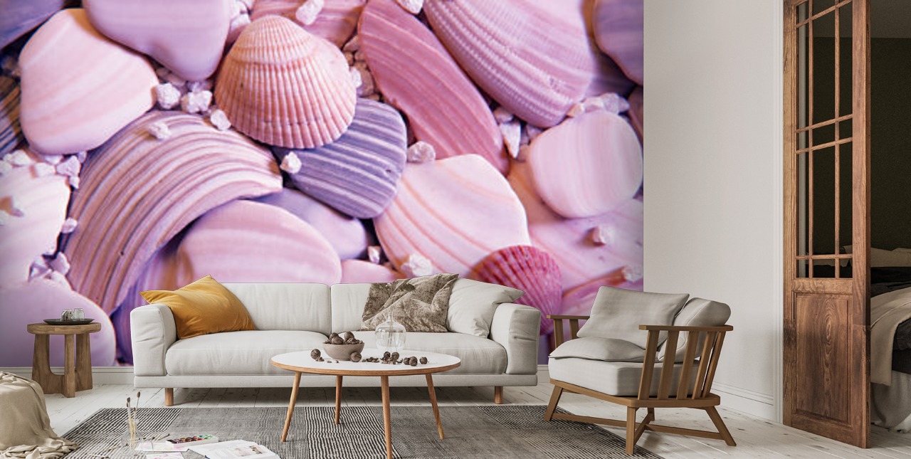 Close-up of seashells | Wallsauce US