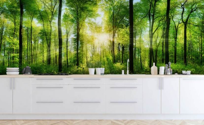 Panoramic Wallpaper - Panoramic Wall Murals | Wallsauce US