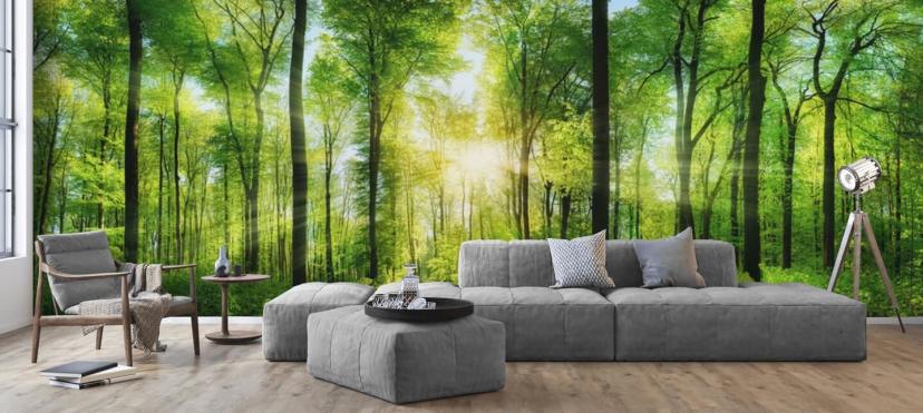 Panoramic Wallpaper - Panoramic Wall Murals | Wallsauce US