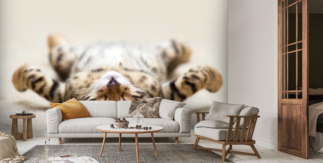 Cats Life Wallpaper | Wallsauce EU