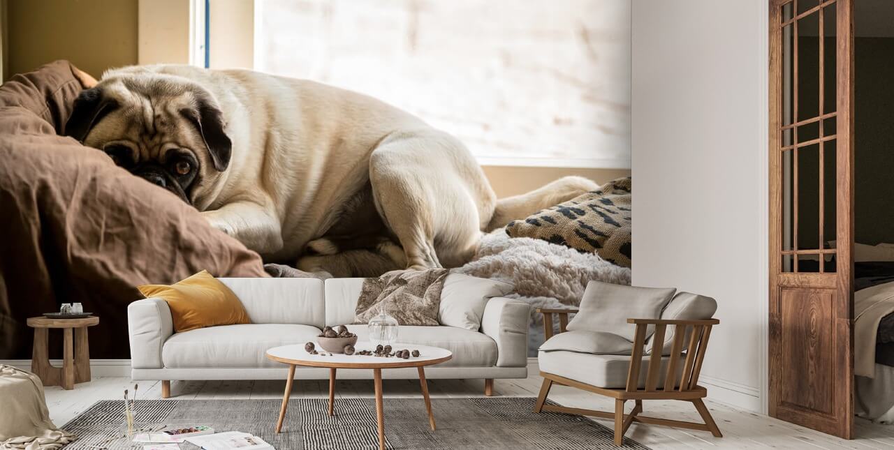 Cozy Pug Wallpaper | Wallsauce AU