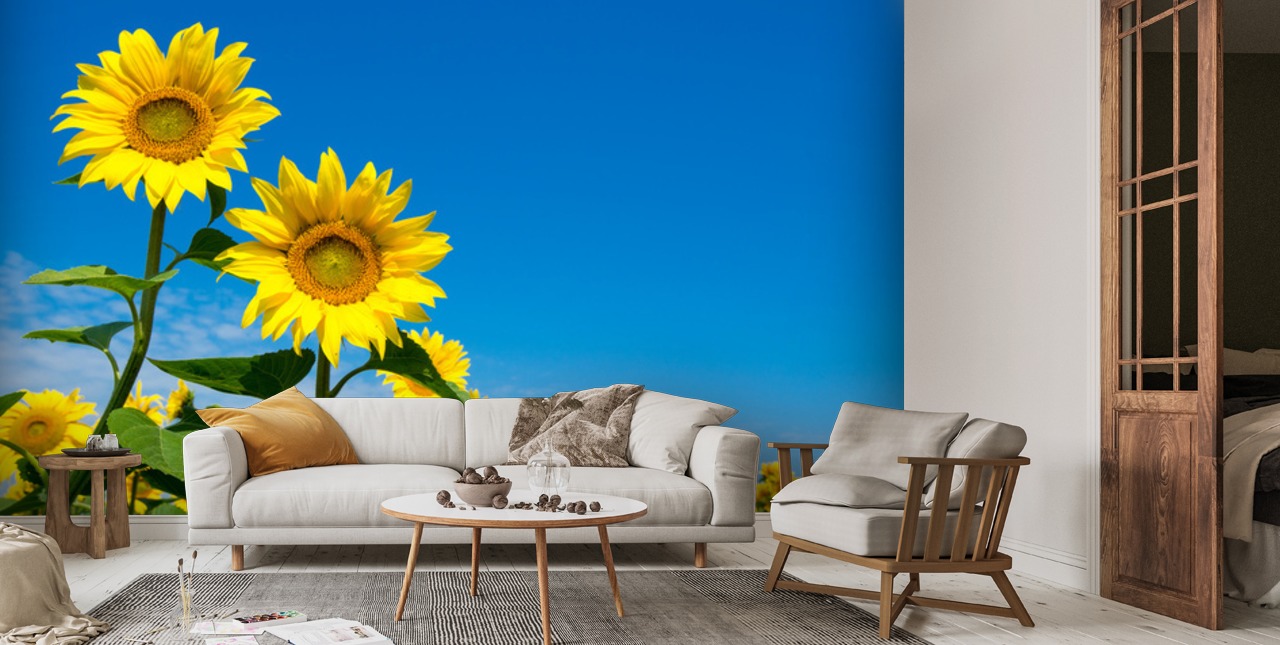 Blue Sky Sunflowers Wallpaper Mural | Wallsauce UK