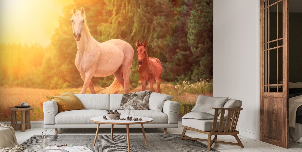 Sunlit Mare and Foal Wallpaper | Wallsauce US