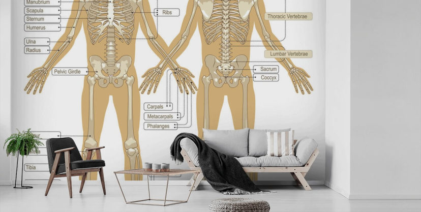 Science Wallpaper Murals | Wallsauce US