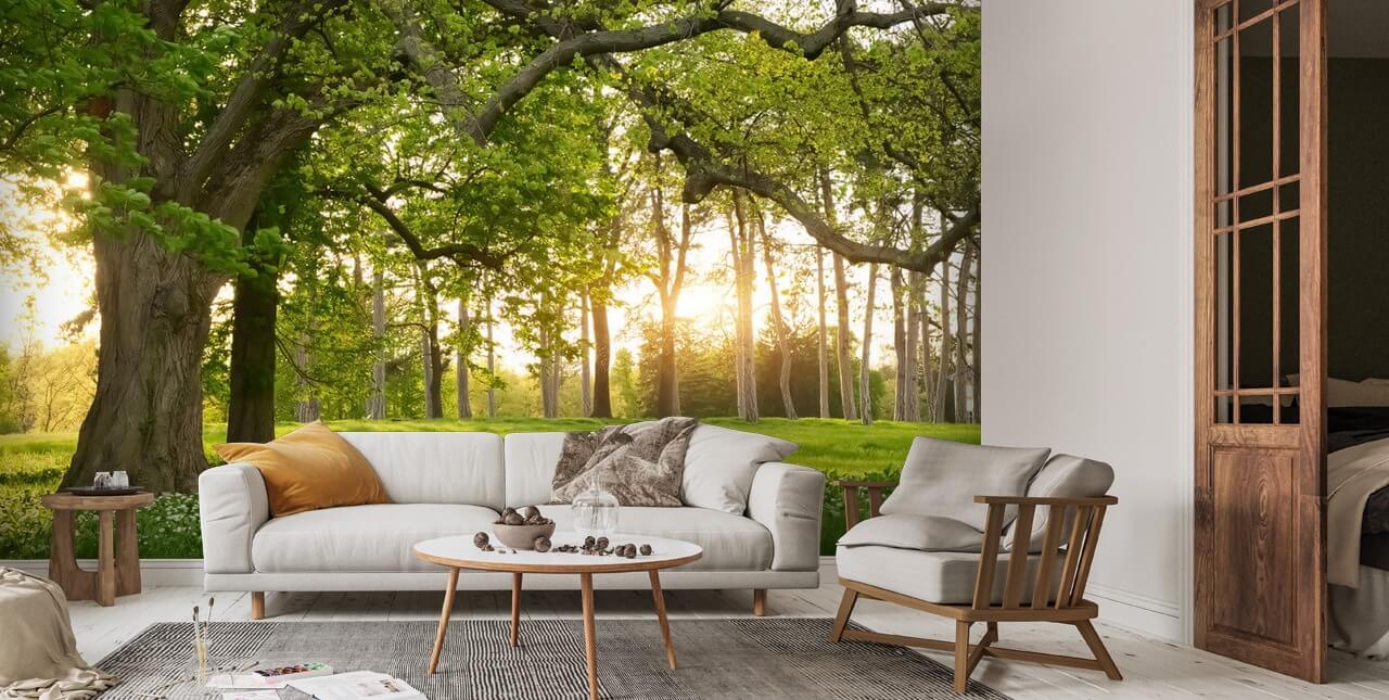 Springtime Forest Wallpaper Mural | Wallsauce US