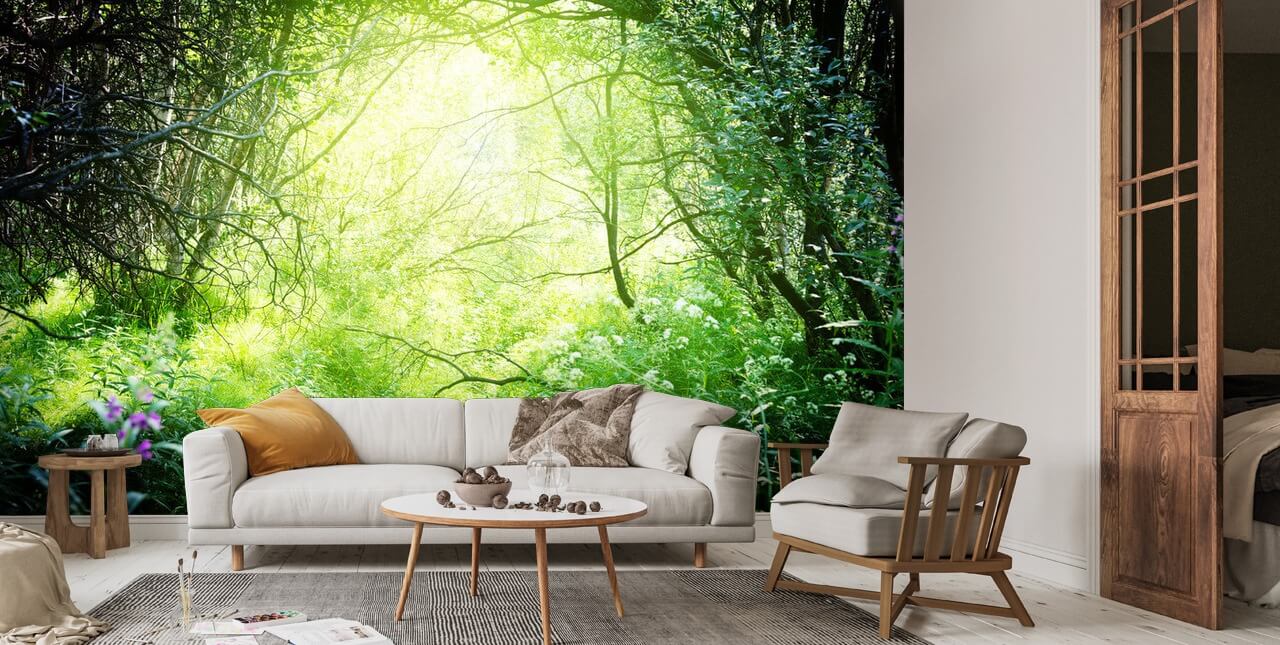 Deep Forest Light Wallpaper | Wallsauce US