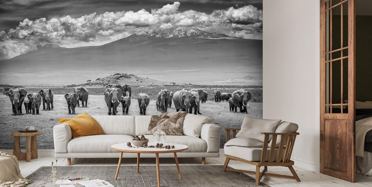 The Titans Wall Mural | Wallsauce UK