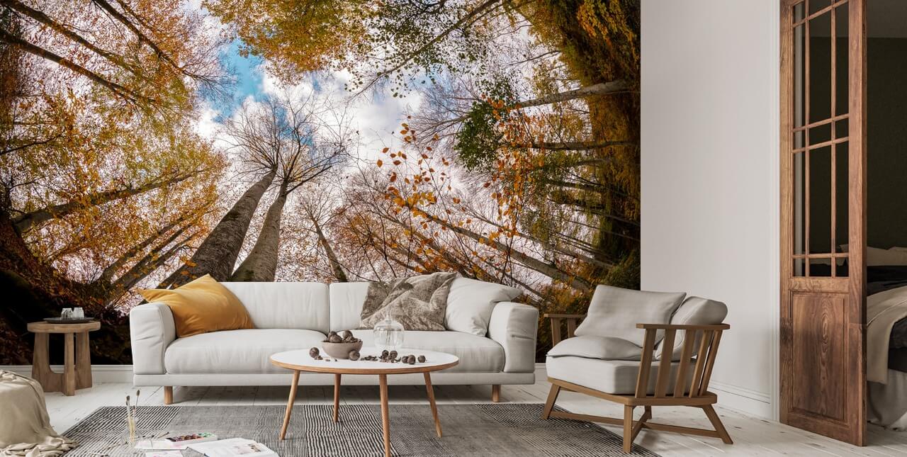 Mural de pared Bosque circular | Wallsauce ES