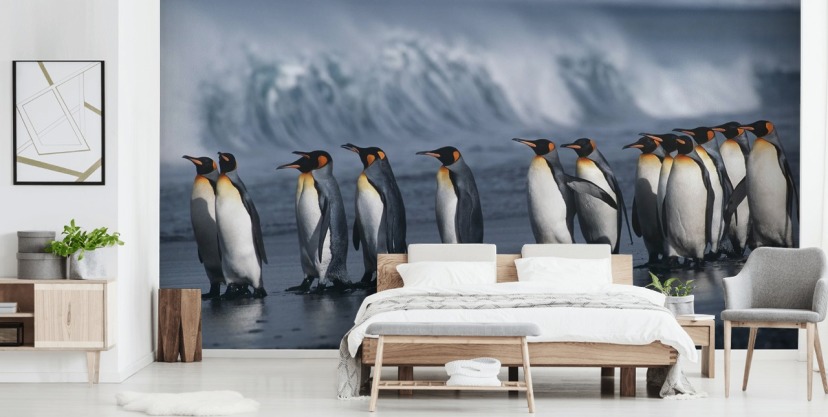 Penguin Wallpaper & Wall Murals | Wallsauce US