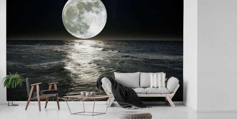 Full Wall Murals White Tree On A Full Moon Blue Sky 3D / 5D / 8D Wall
