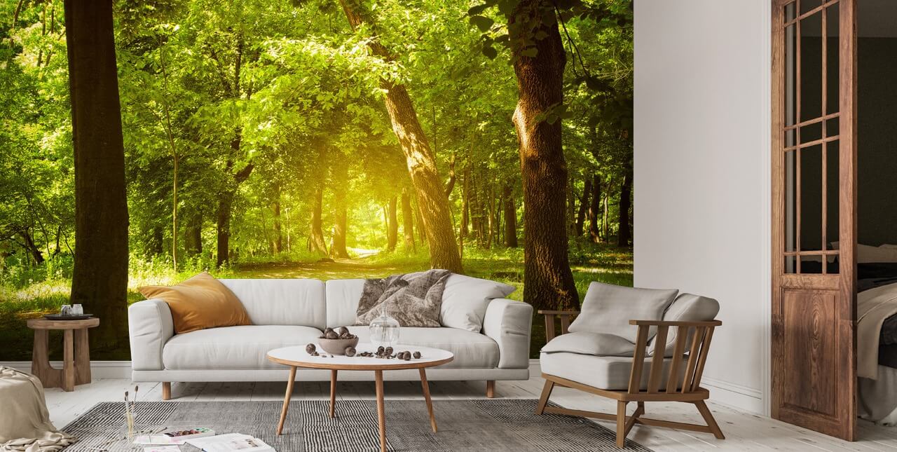 Forest Wallpaper | Wallsauce US