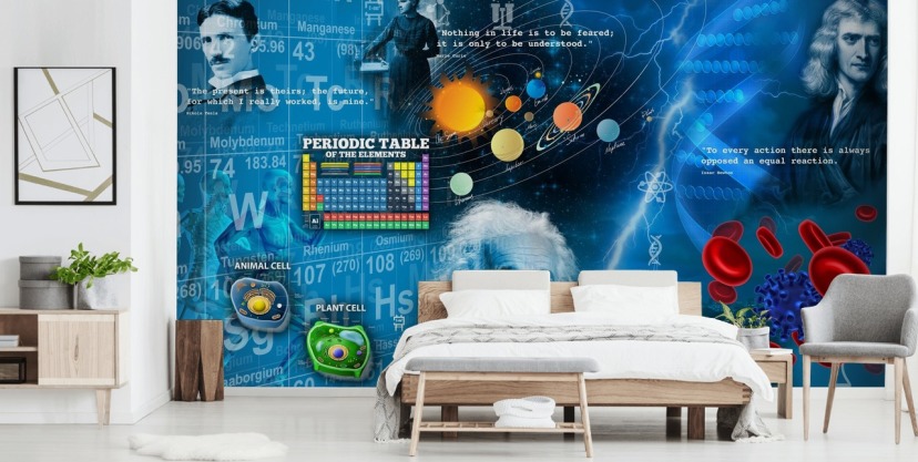 Education Wall Murals & Education Wallpaper | Wallsauce UK