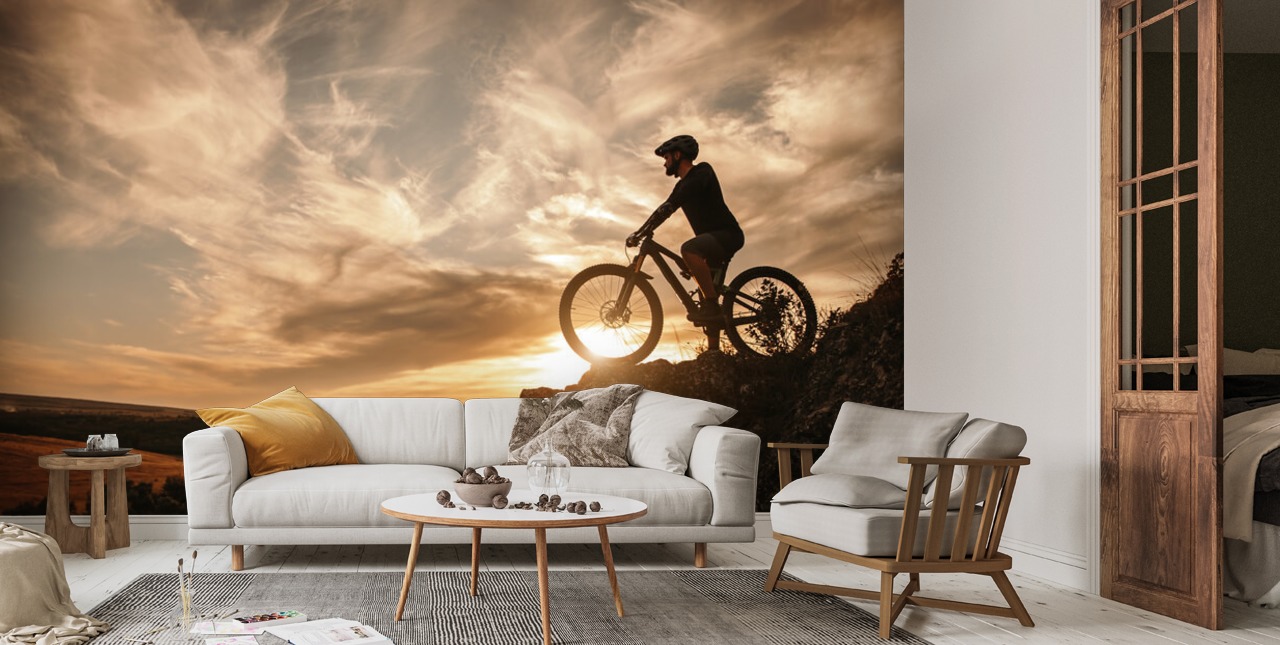 Man on mountain bike against sundown sky | Wallsauce UK