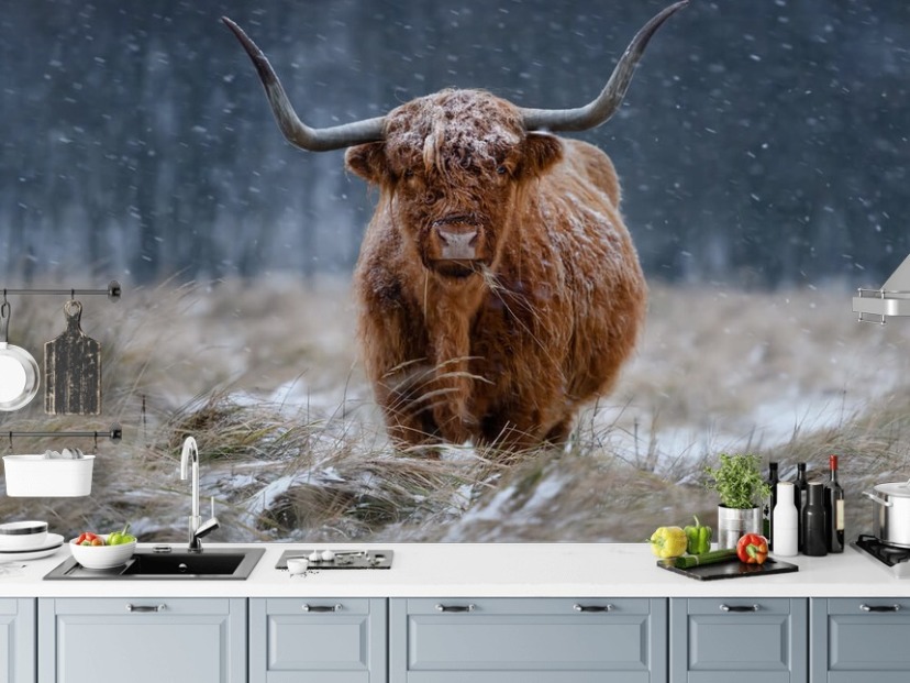 Cow Wallpaper & Wall Murals | Wallsauce UK