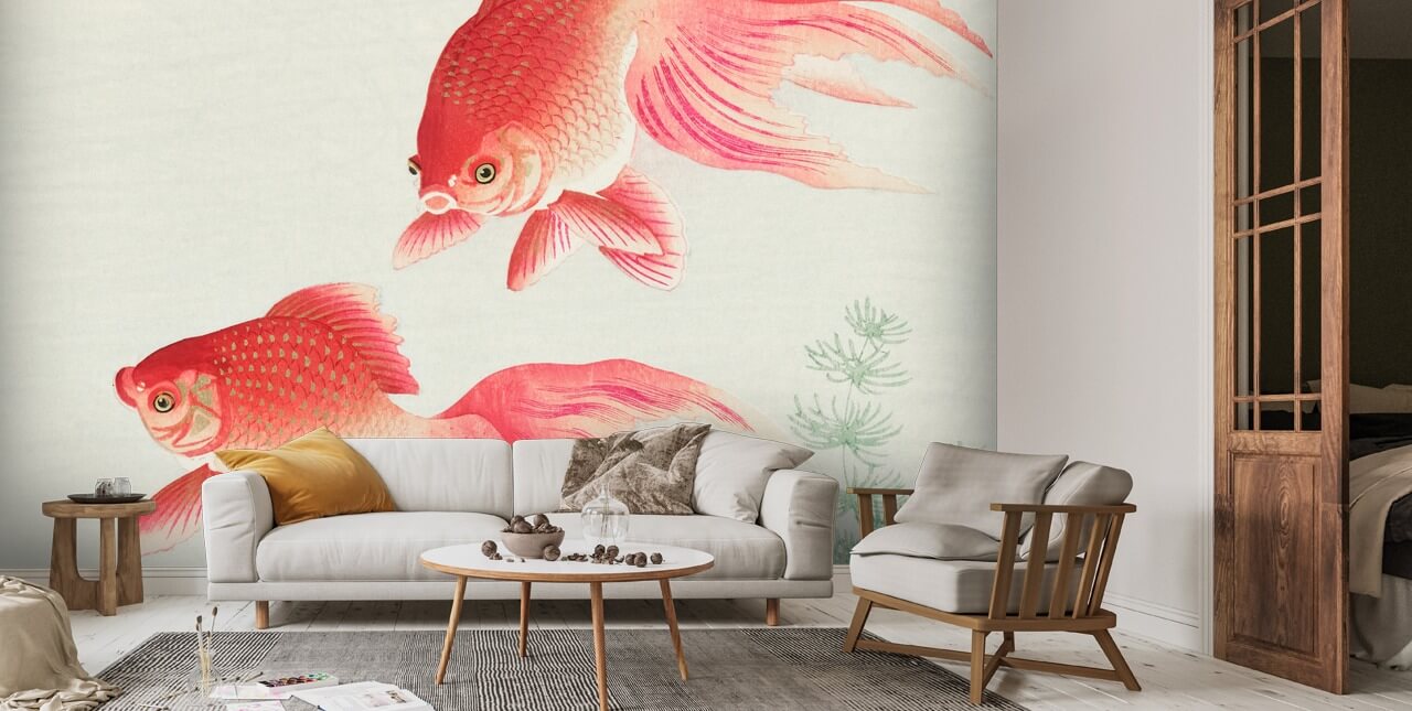 Two Veil Goldfish Wallpaper Mural | Wallsauce AU