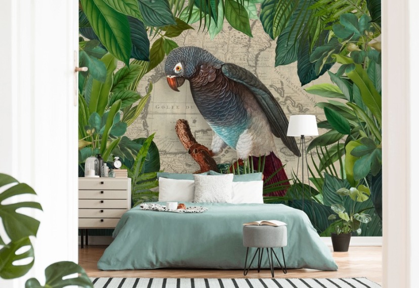 Parrot Wallpaper | Wallsauce UK