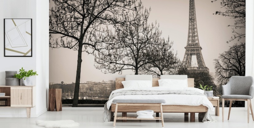 Paris Wallpaper & Wall Murals | Wallsauce CA