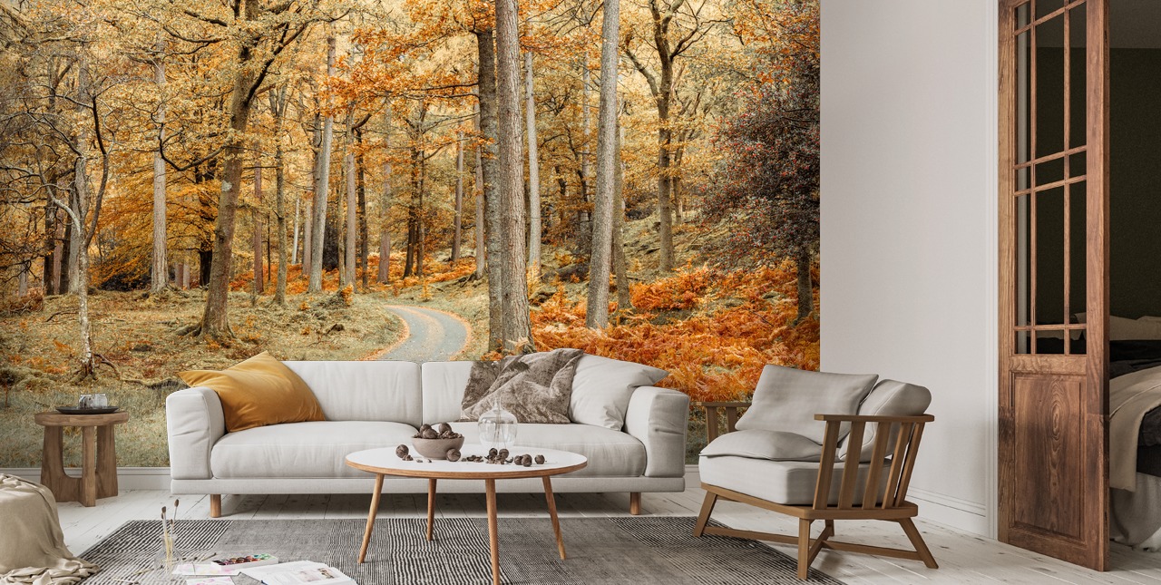 Lake District Path Wallpaper | Wallsauce US
