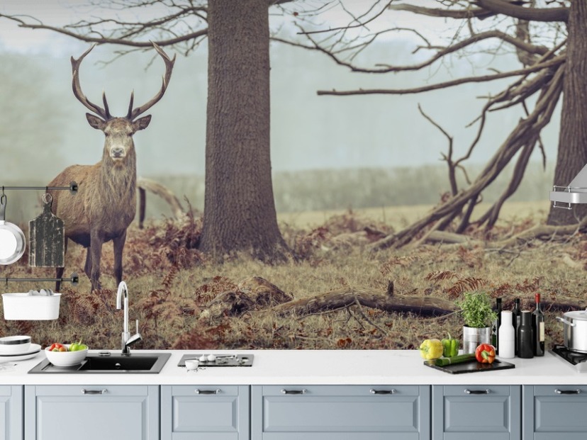 Stag Wallpaper & Deer Wallpaper | Wallsauce UK