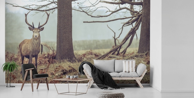 Stag Wallpaper & Deer Wallpaper | Wallsauce UK