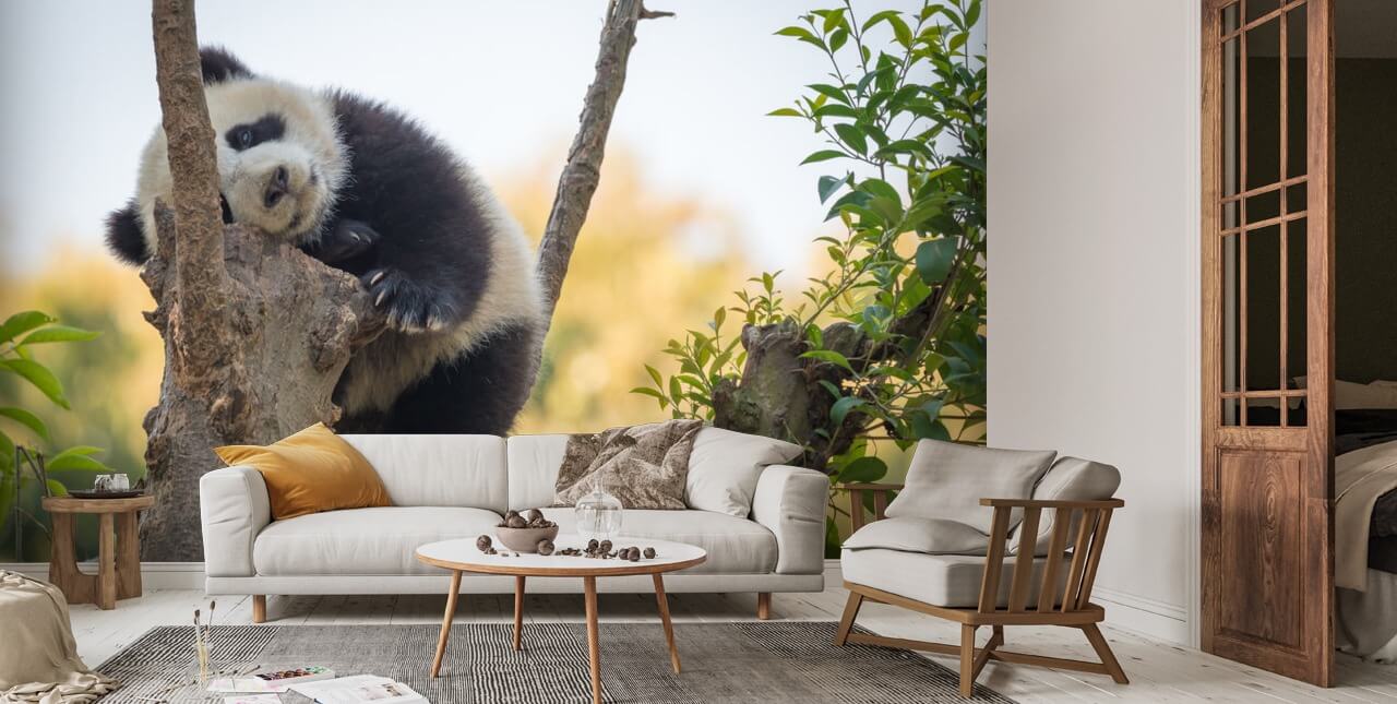 Nap Time Wallpaper | Wallsauce AU