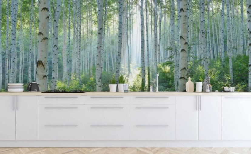 Birch Tree Wallpaper & Wall Murals | Wallsauce UK
