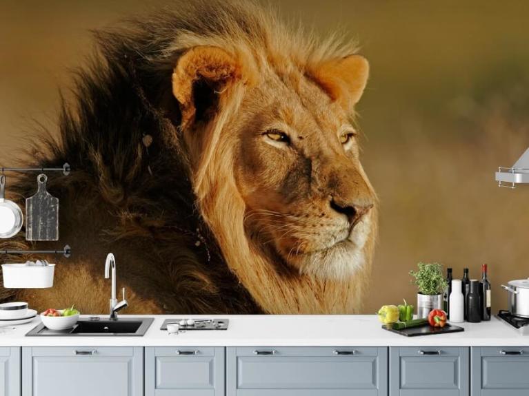Lion Wallpaper & Wall Murals | Wallsauce ZA