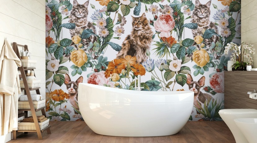 Cat Wallpaper & Wall Murals | Wallsauce US