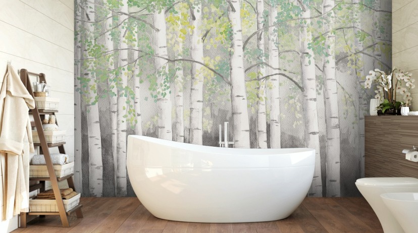 Birch Tree Wallpaper & Wall Murals | Wallsauce UK
