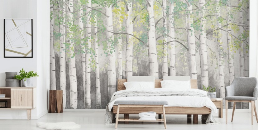 Birch Tree Wallpaper & Wall Murals | Wallsauce UK