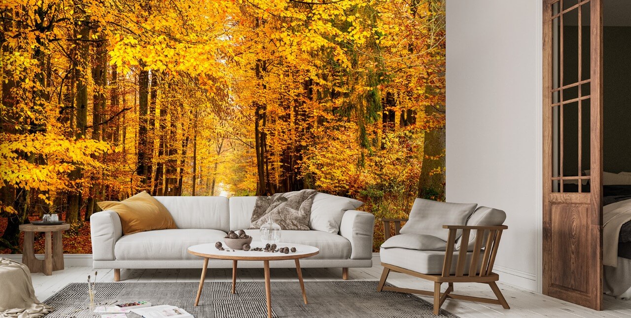 Autumnal Path Wall Mural | Wallsauce US