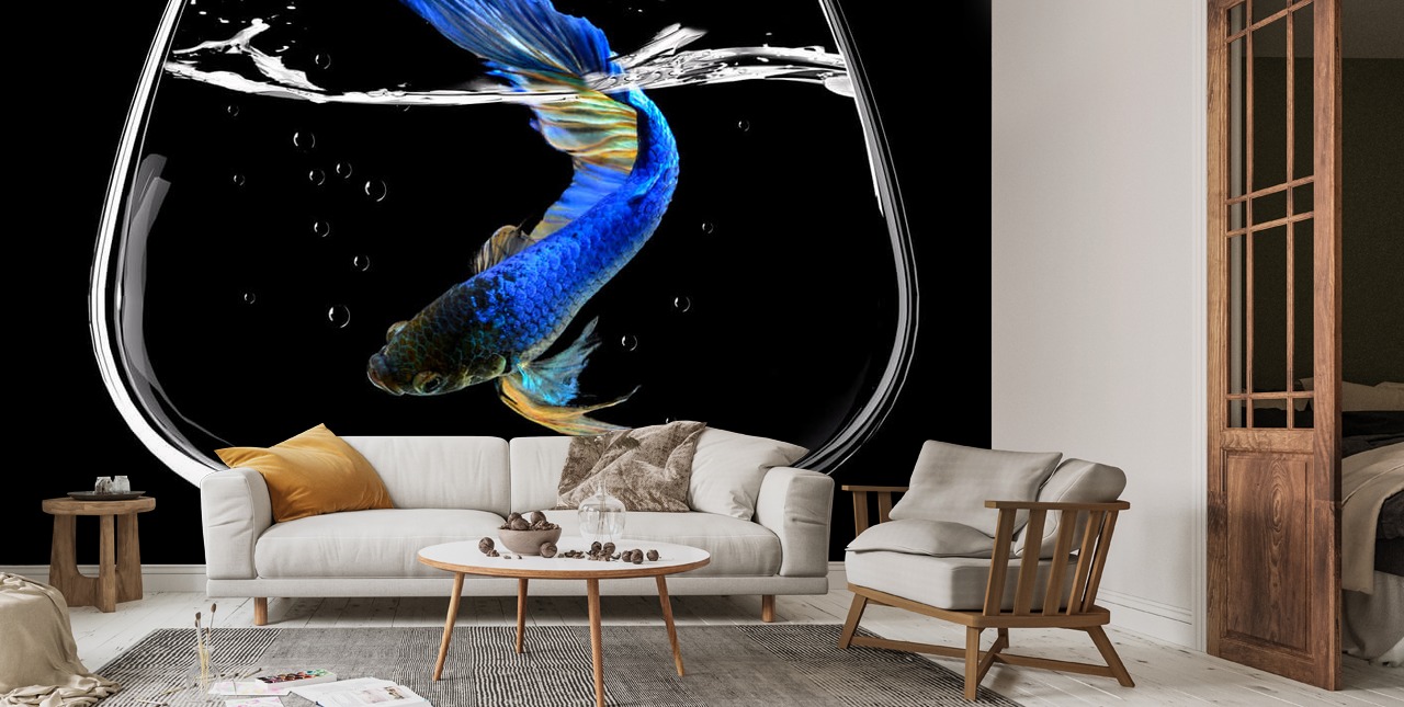Betta Fish Dance | Wallsauce EU