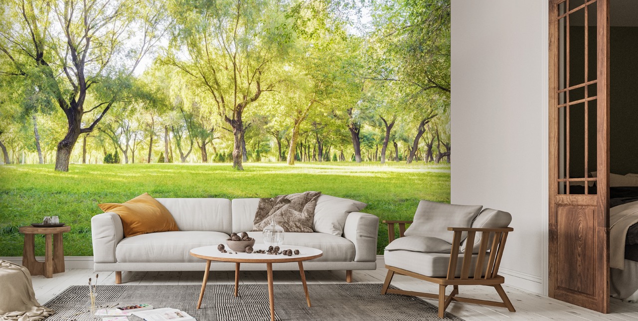 Trees in the park | Wallsauce UK