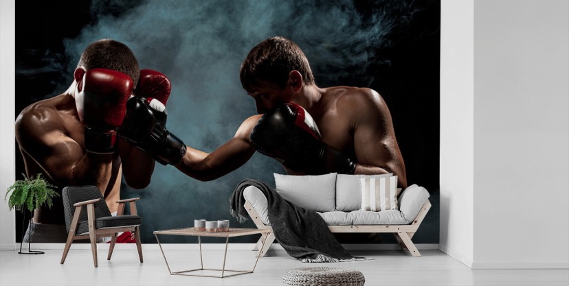 Boxing Wallpaper and Boxing Wall Murals | Wallsauce NZ