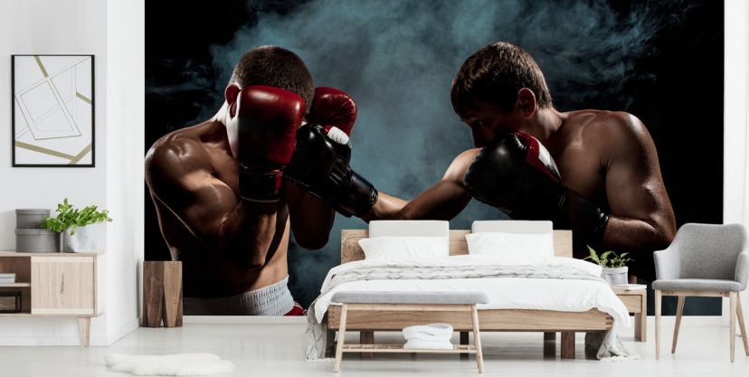 Boxing Wallpaper and Boxing Wall Murals | Wallsauce AU