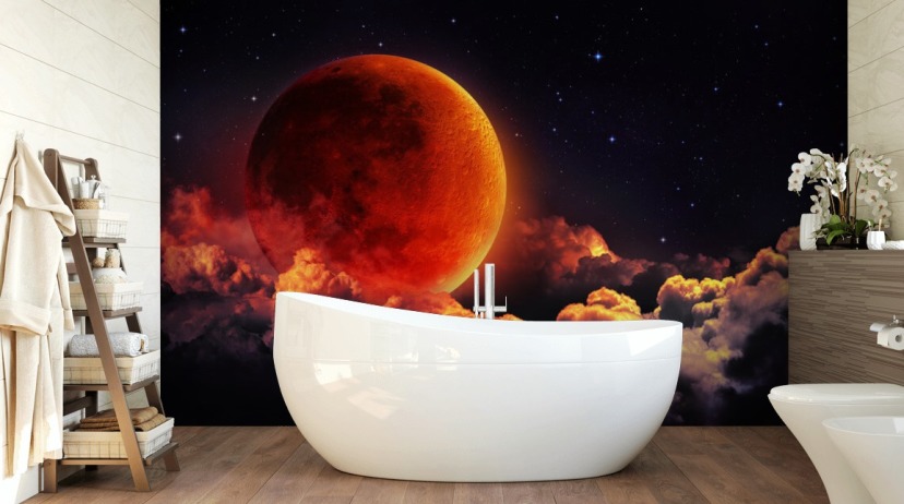 Moon Wallpaper Murals | Wallsauce EU