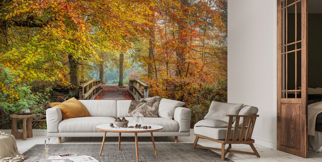 Autumn Woodland Bridge Mural By Assaf Frank | Wallsauce US